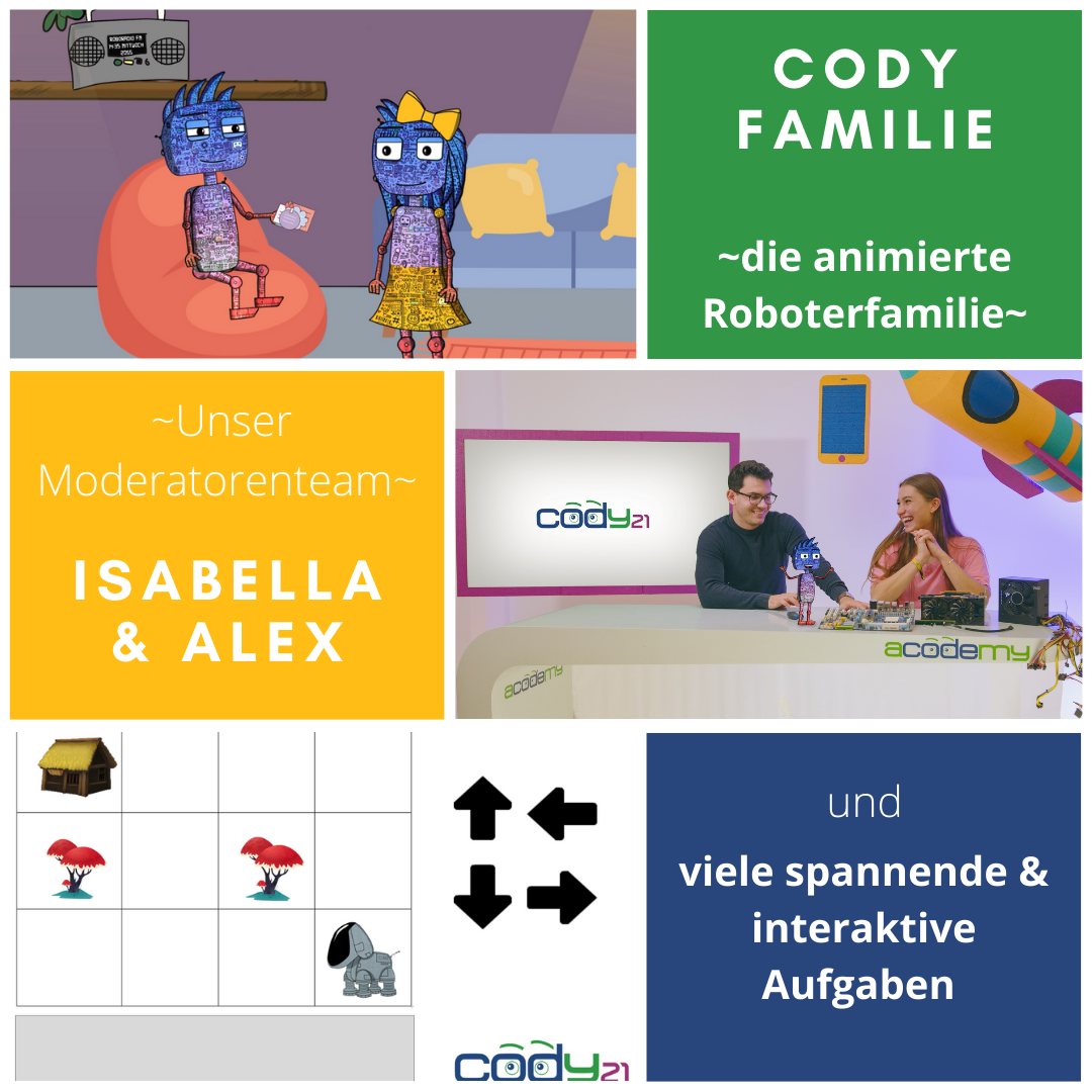 cody Evaluierung - cody21